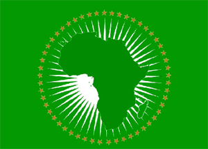 African Commission on Human and Peoples' Rights - International ...