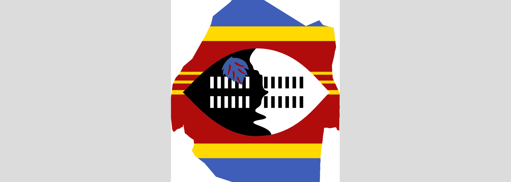 Swaziland: Release of Messrs. Thulani Rudolf Maseko and Bheki Makhubu