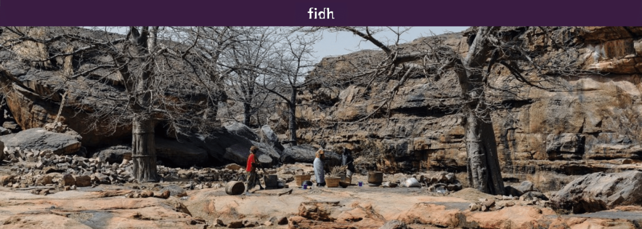 Bankass massacre in Mali: Witnesses describe the attack