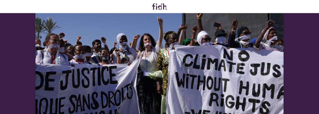 Egypt: Rare meeting of national and international rights groups amid COP27