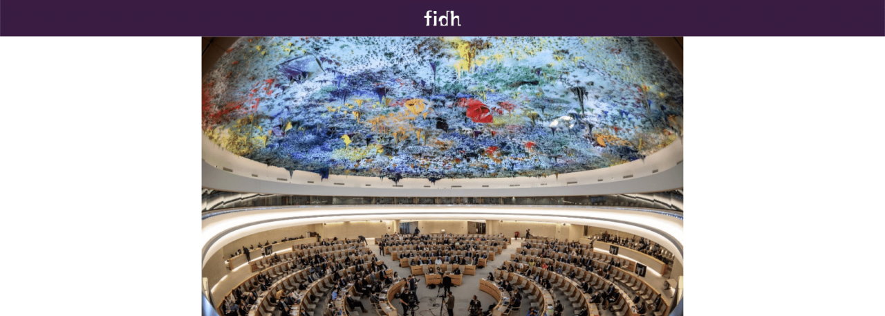 Sri Lanka: FIDH briefs UN Human Rights Committee on violations of ...