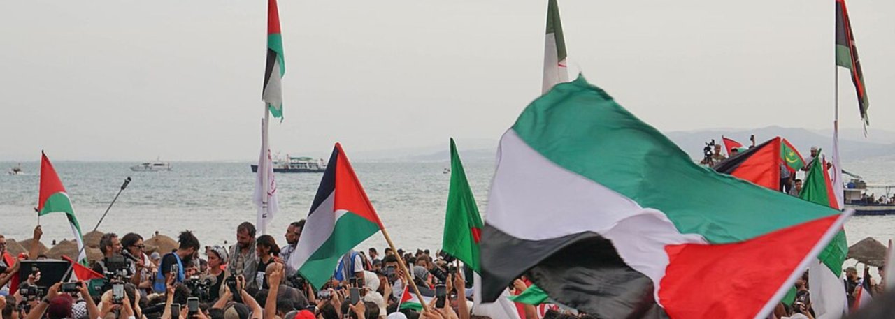 Israel / Palestine: Calls for the protection of humanitarian activists ...