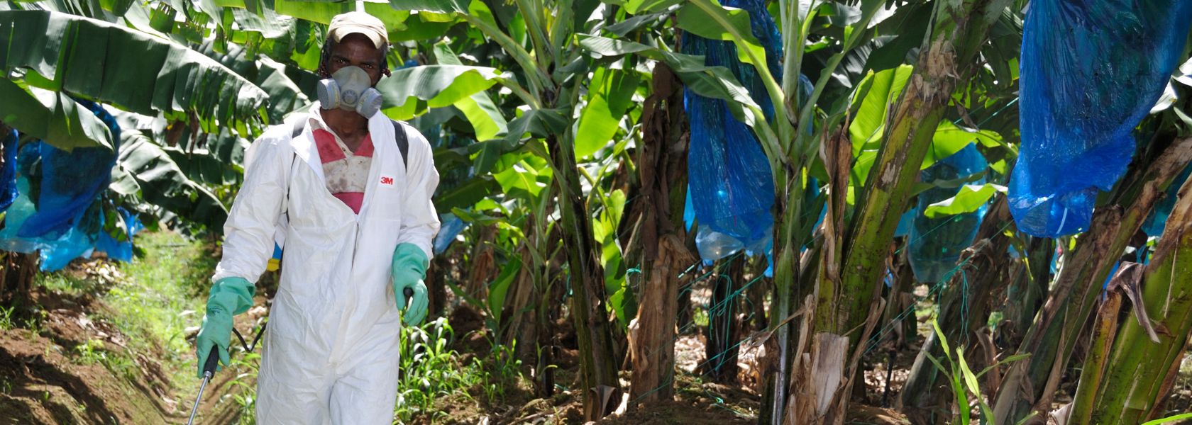 International Federation for Human Rights - International Federation ...